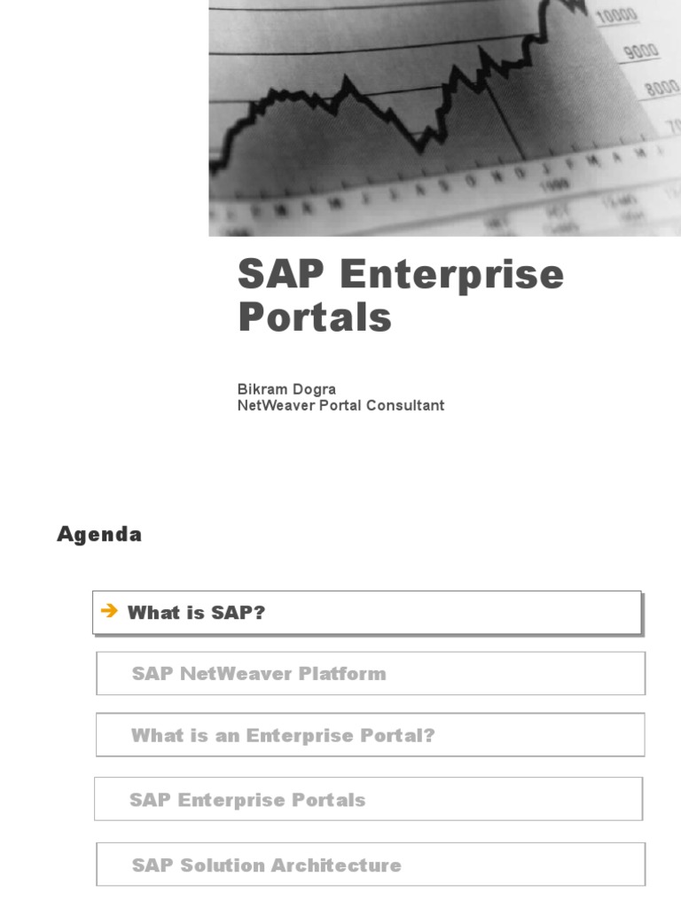 SAP Enterprise Portal | PDF | Java Platform | Sap Se