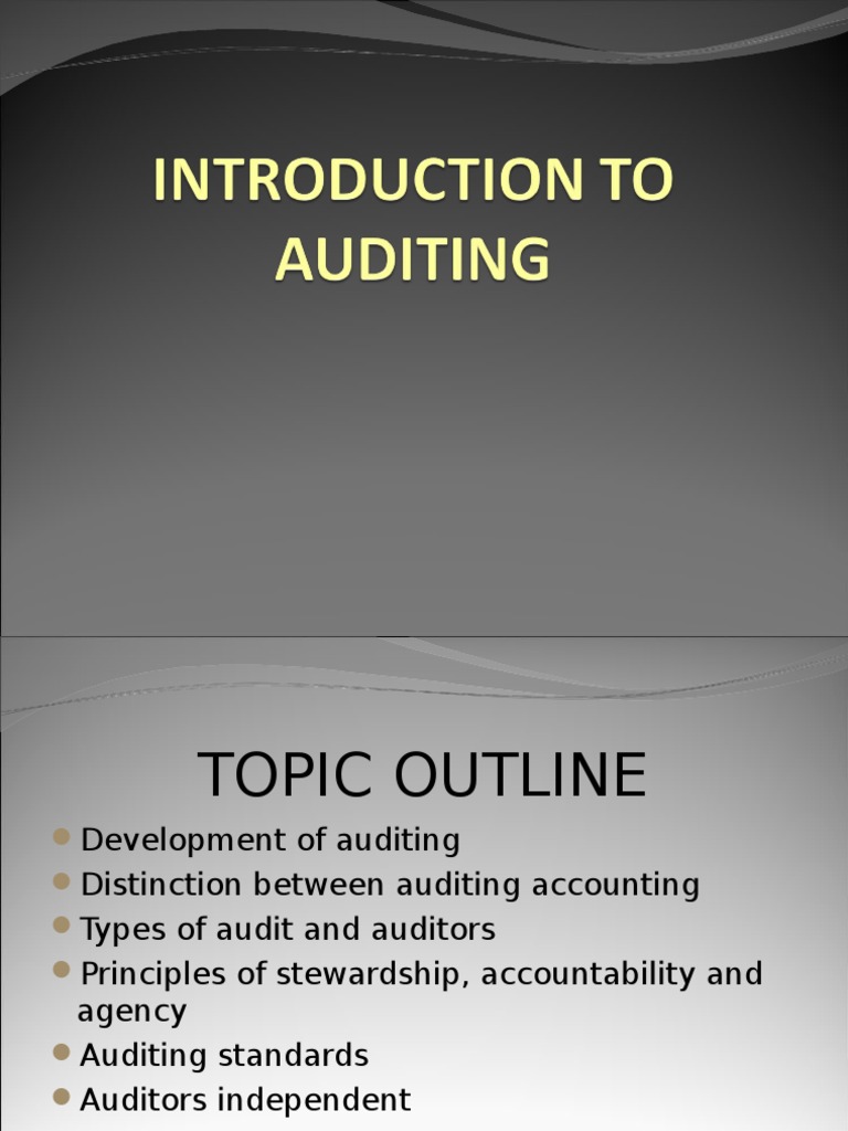 Auditing Basics and Standards Guide | PDF | Financial Audit | Audit