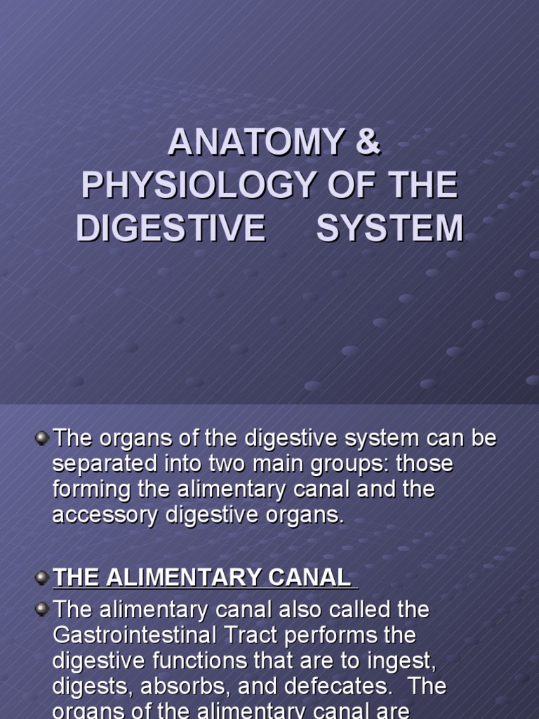 Anatomy & Physiology of The Digestive System-Powerpoint | Download Free ...