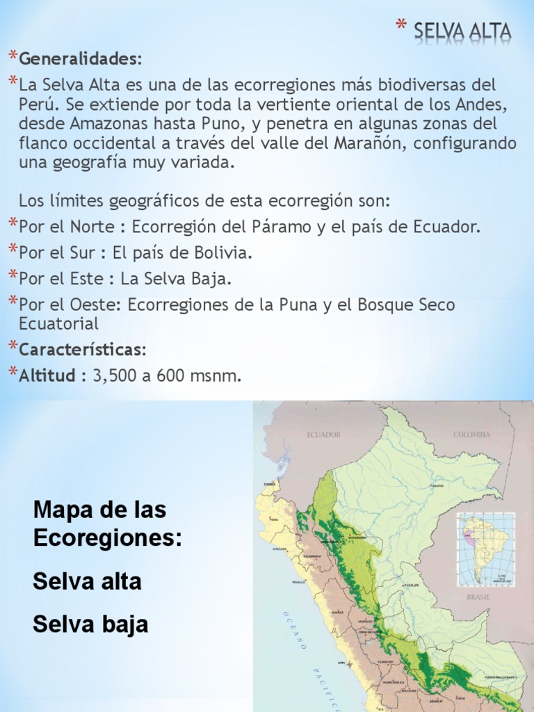 Selva Alta | PDF | Selva | Clima