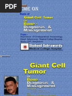 Musculoskeletal Clinical Translation Framework | PDF | Pain | Neuroscience