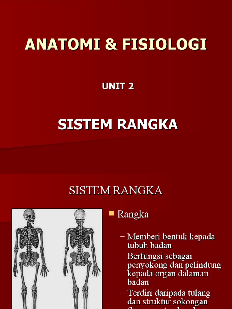 Sistem Rangka Tingkatan 4 | PDF