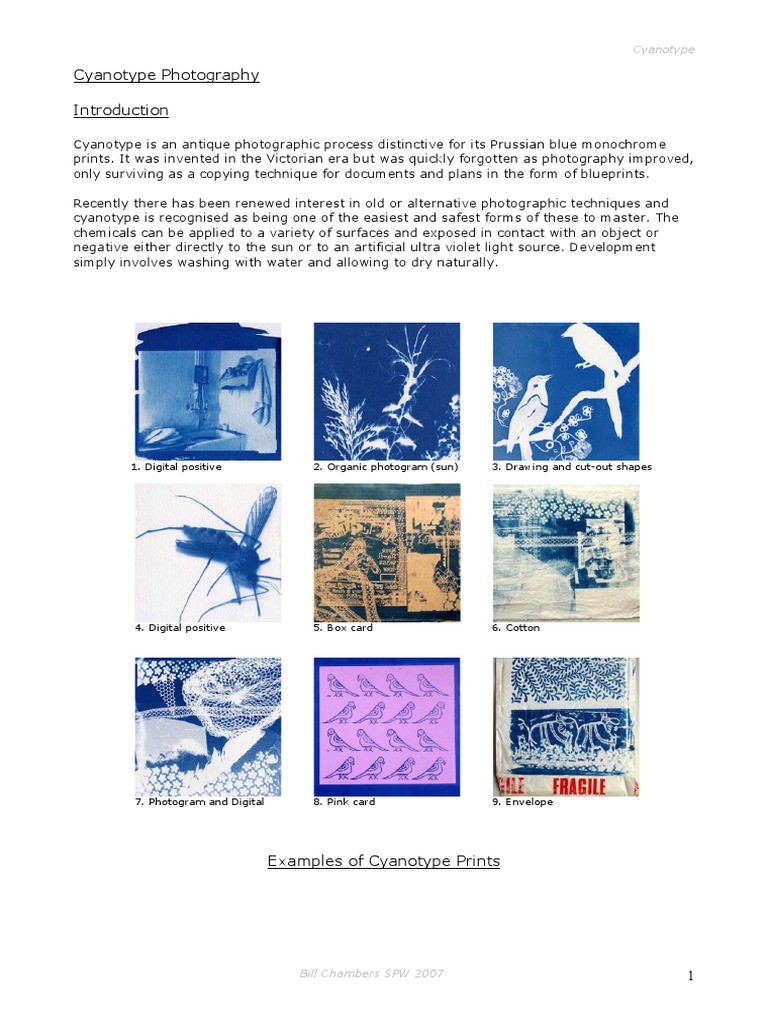 Cyanotype Photography | PDF | Art Media | Media Technology