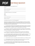 Owner Performer Consent Form | PDF
