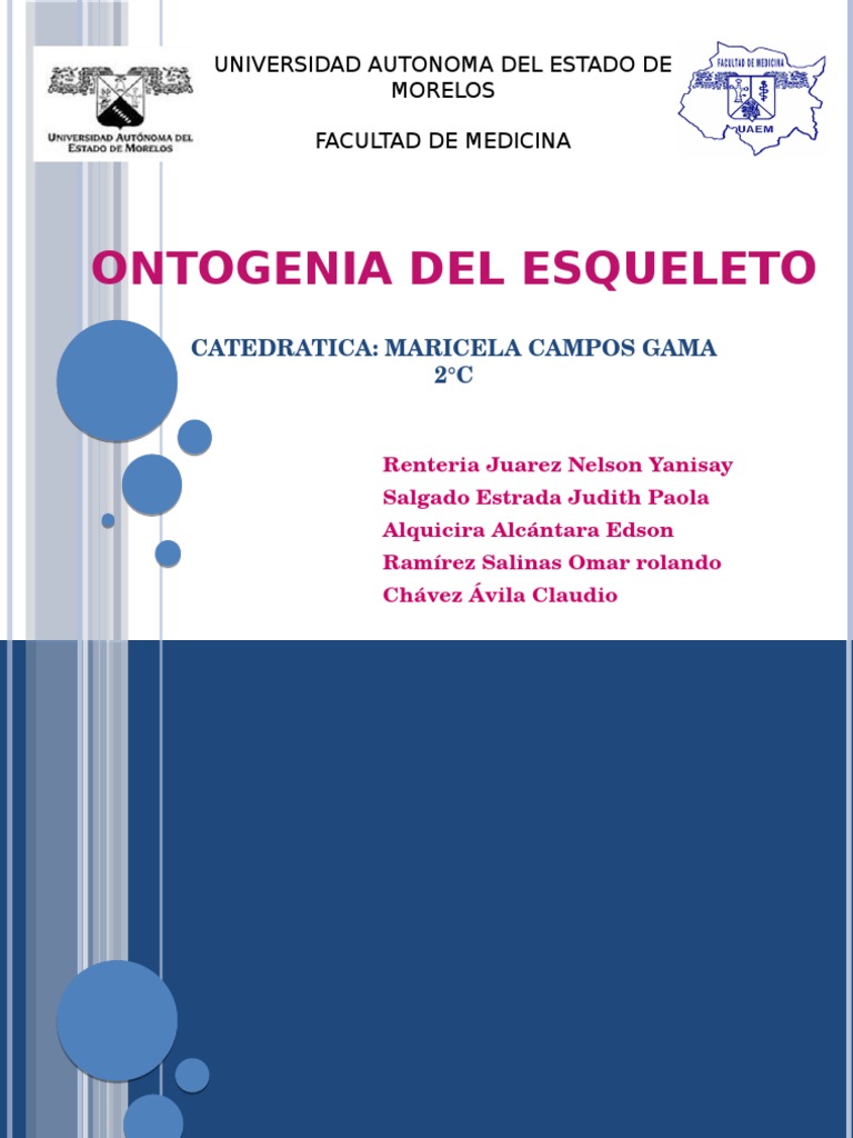 Ontogenia Del Esqueleto | PDF | Cráneo | Vértebra