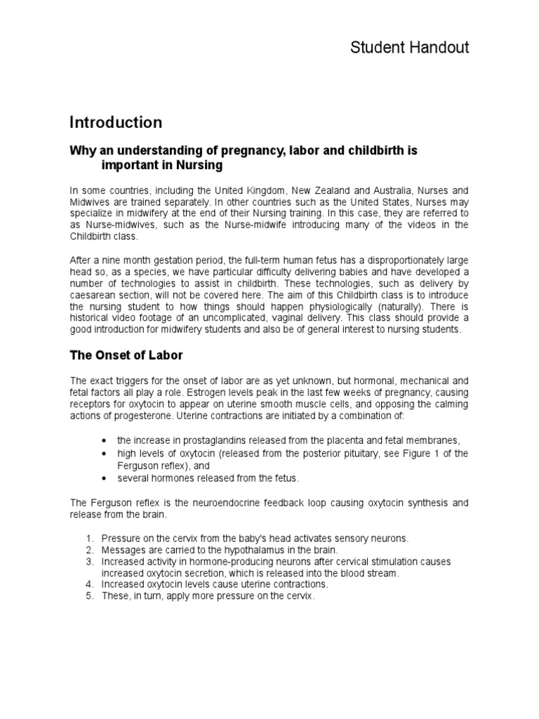 Childbirth: Student Handout | PDF | Childbirth | Uterus