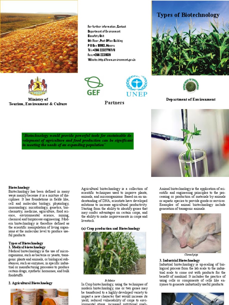 Types of Biotechnology Brochure | PDF | Biotechnology | Agriculture