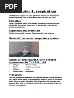 Lung Model With Two Lungs and Diaphragm Lab | PDF