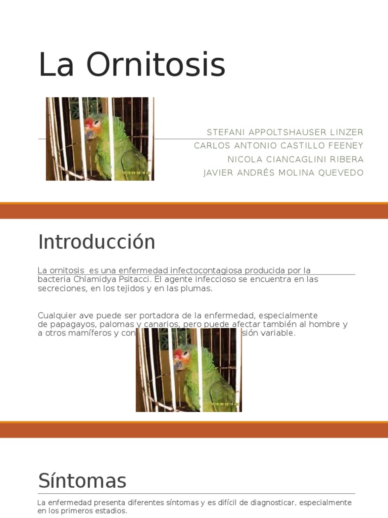 La Ornitosis | PDF | Ojo | Resfriado comun
