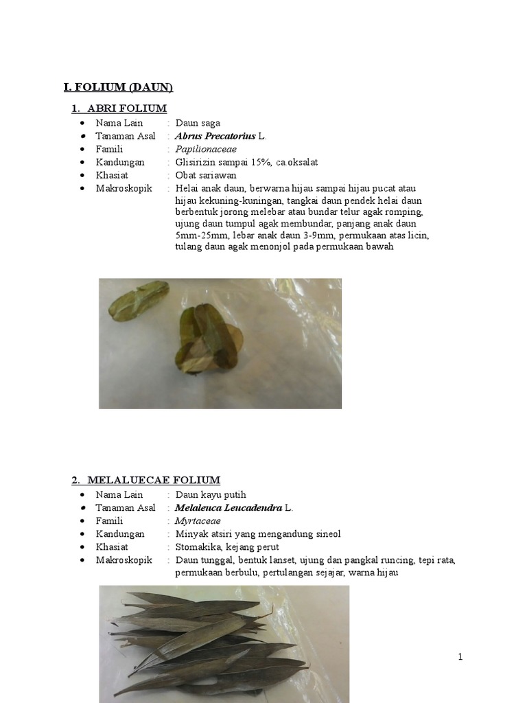 Pembahasan RAJANGAN | PDF