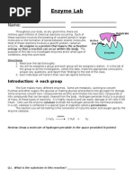 Enzyme Activity Lab Report - IB Biology | PDF | Enzyme | Catalase