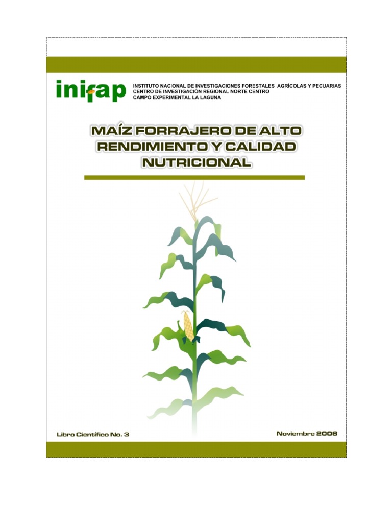 Maiz Forrajero de Alto Rendimiento y Calidad Nutricional | PDF | Maíz ...