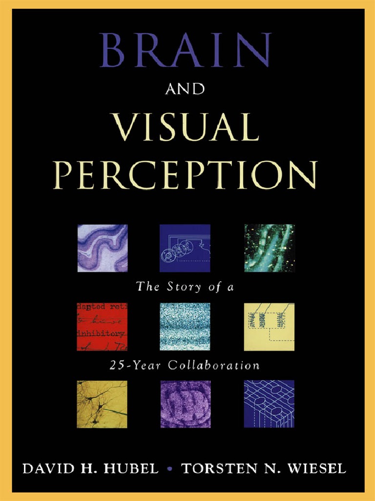 Brain and Visual Perception 1 0195176189 PDF | PDF