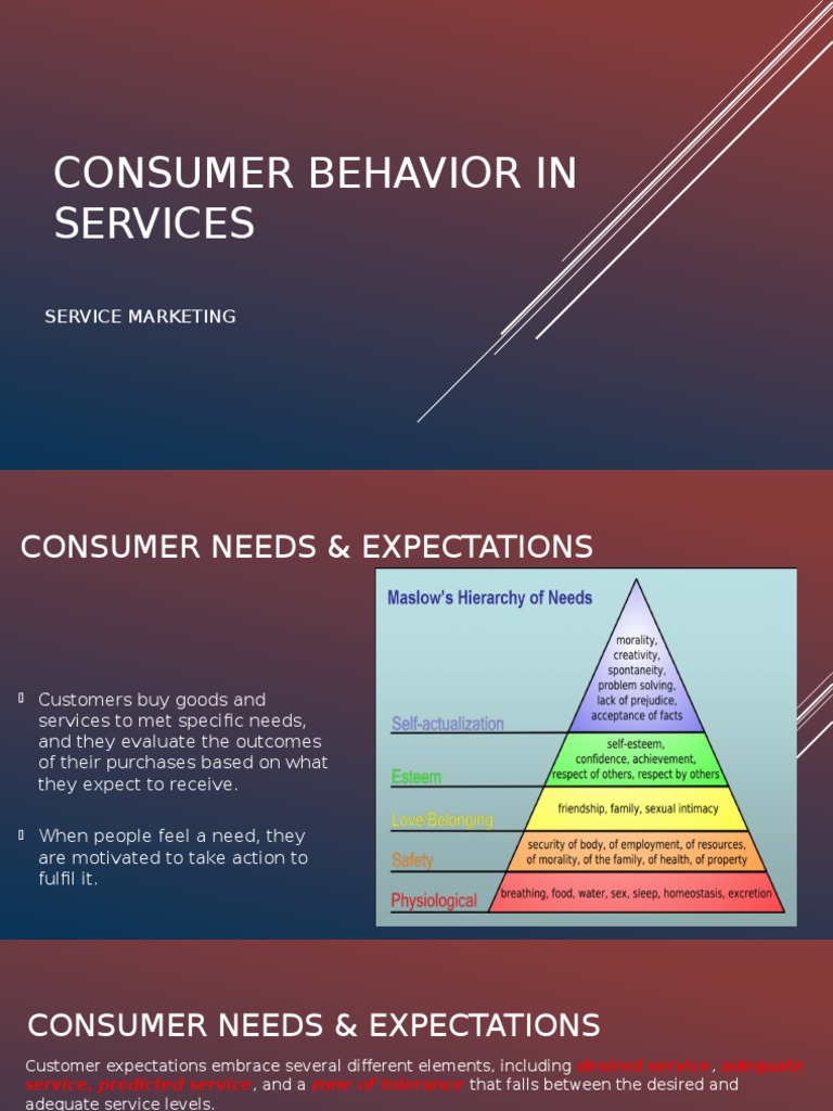 Consumer Behaviour in Services | PDF | Consumer Behaviour | Behavior