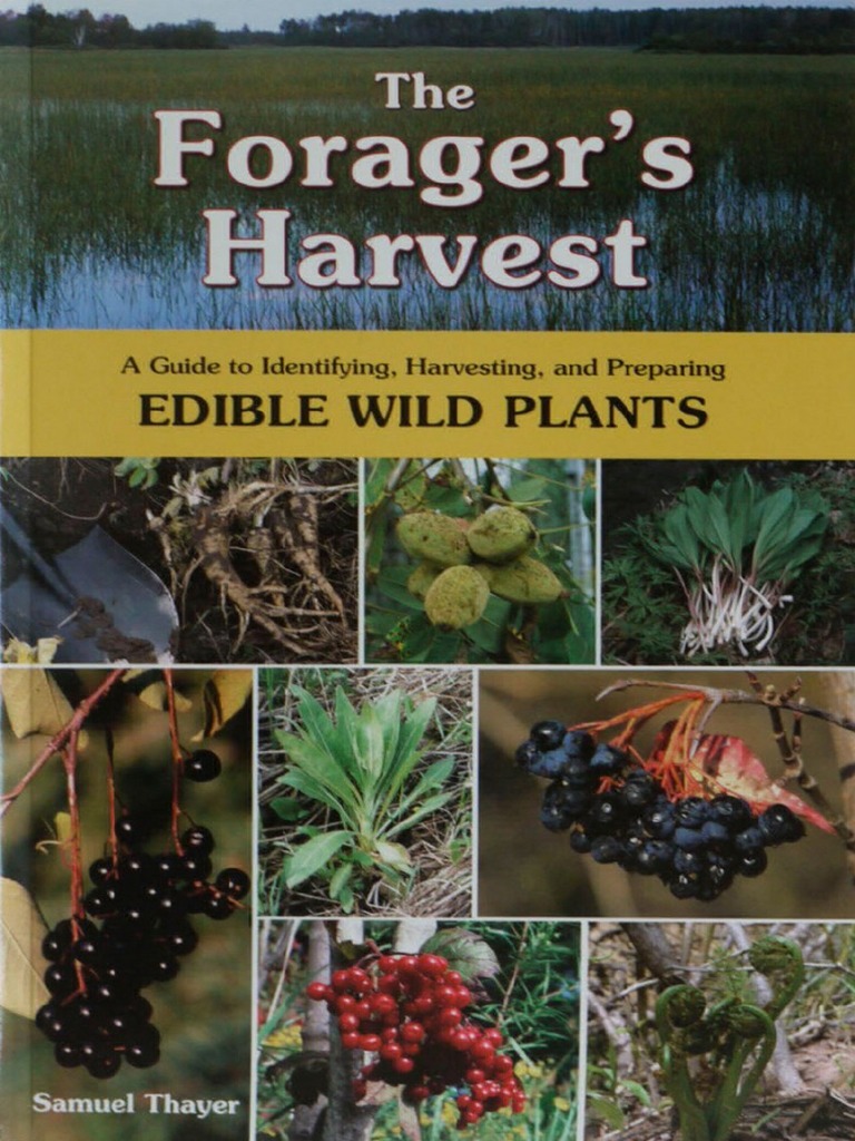 Samuel Thayer - The Forager's Harvest - A Guide To Identifying ... Samuel Thayer - The Forager's Harvest - A Guide To Identifying ...
