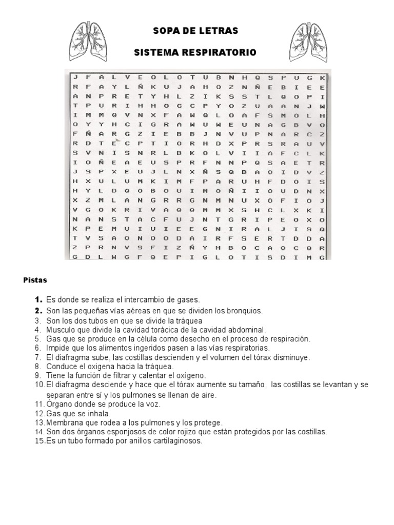 Sopa de Letras Respiracion | PDF