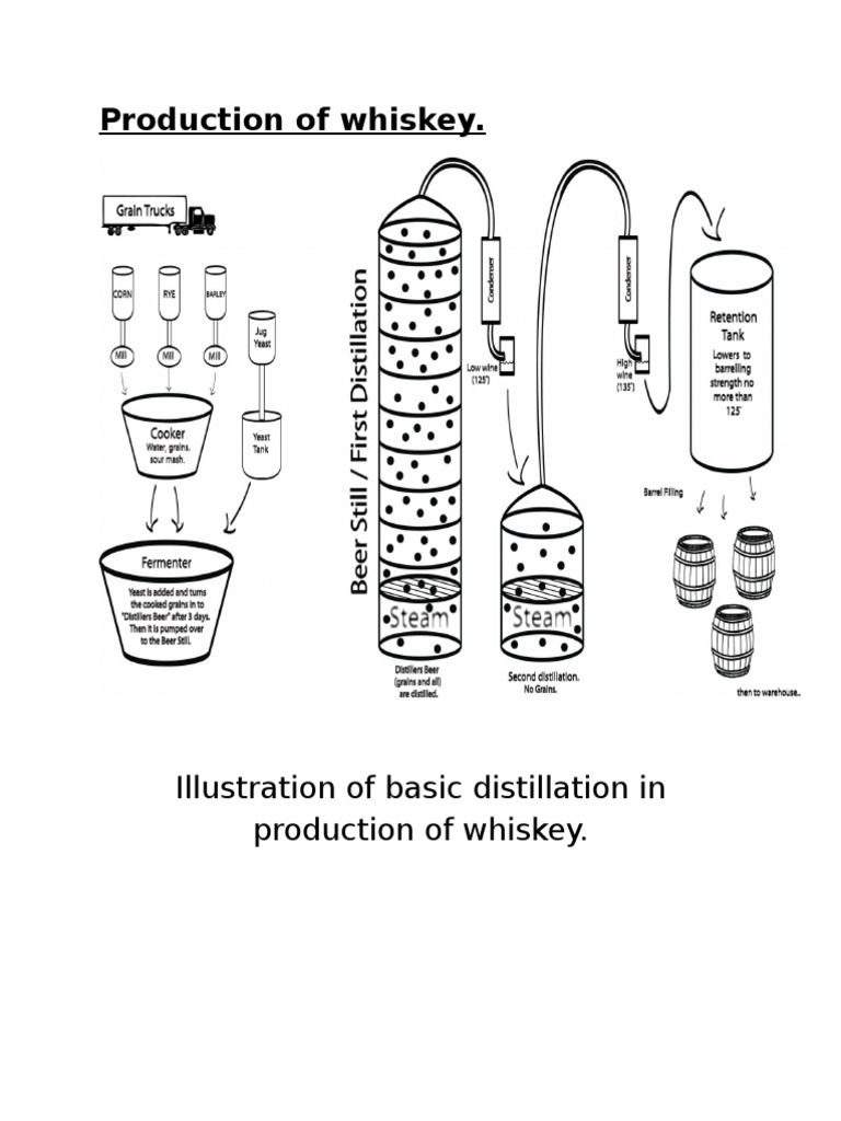 Production of Whiskey | PDF | Malt | Distillation