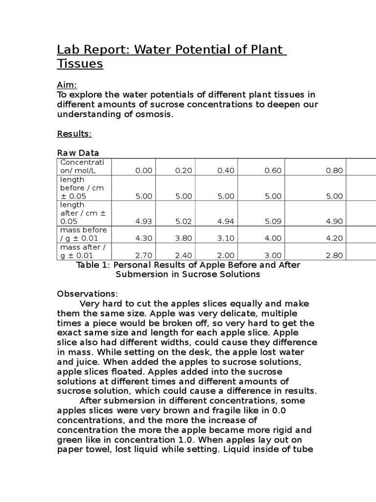 Lab Report Water Potential Final | PDF | Concentration | Sucrose