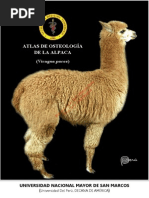 Anatomia y Caracteristicas Del Cuy | PDF | Vértebra | Cráneo