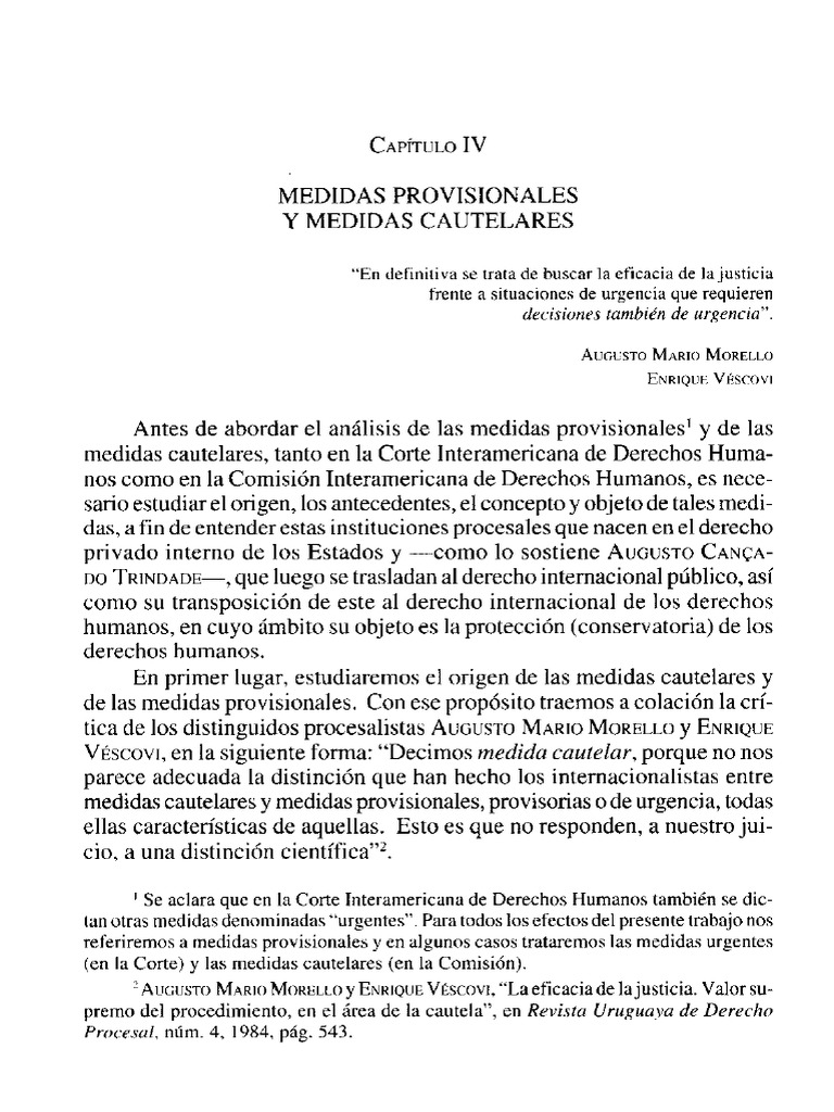 Medidas Cautelares y Medidas Provisionales PDF | PDF