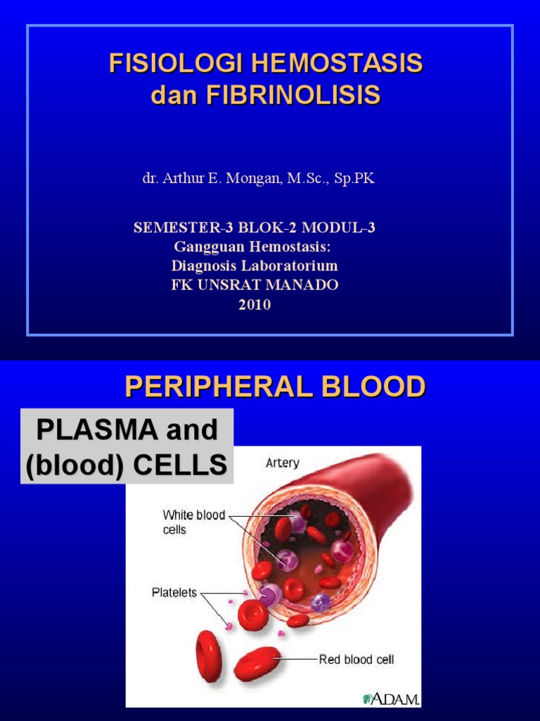Fisiologi Hemostasis Dan Fibrinolisis | PDF | Coagulation | Platelet