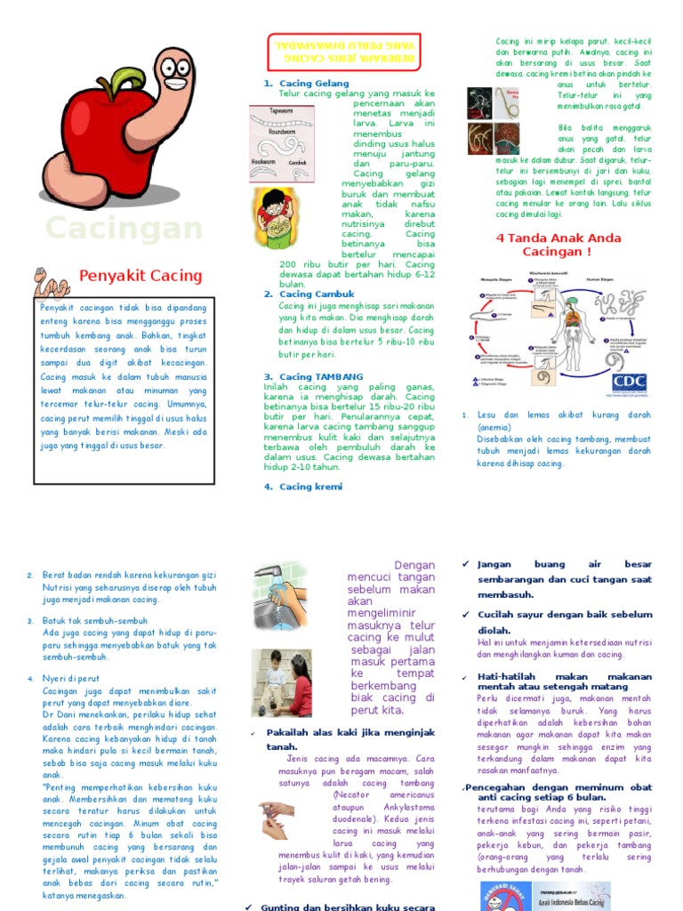 Leaflet Cacingan | PDF