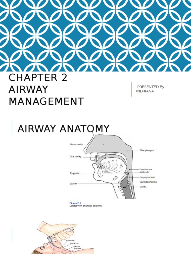 Airway Management Pdf : Evidence-Based Guideline for Prehospital Airway ...