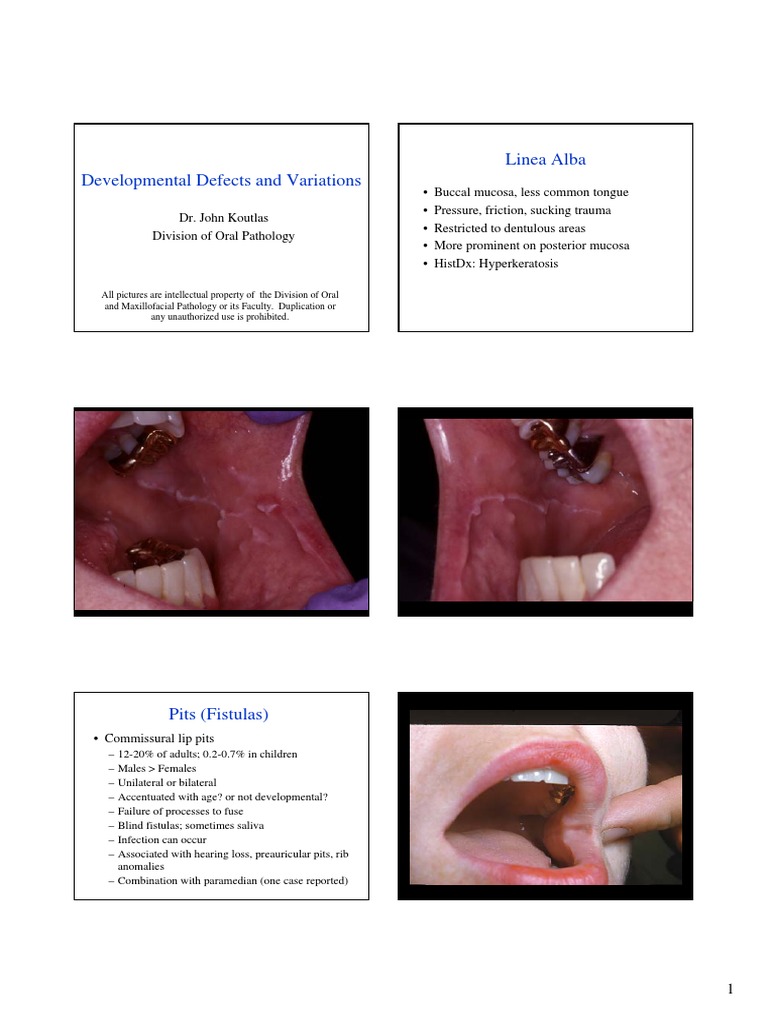 Developmental Defects | PDF | Medical Specialties | Diseases And Disorders