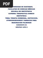 Composición y usos de Soluna 5 | PDF