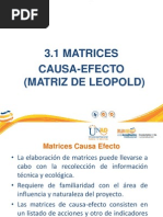 Matriz de Conesa | PDF | Evaluación de impacto ambiental | Naturaleza