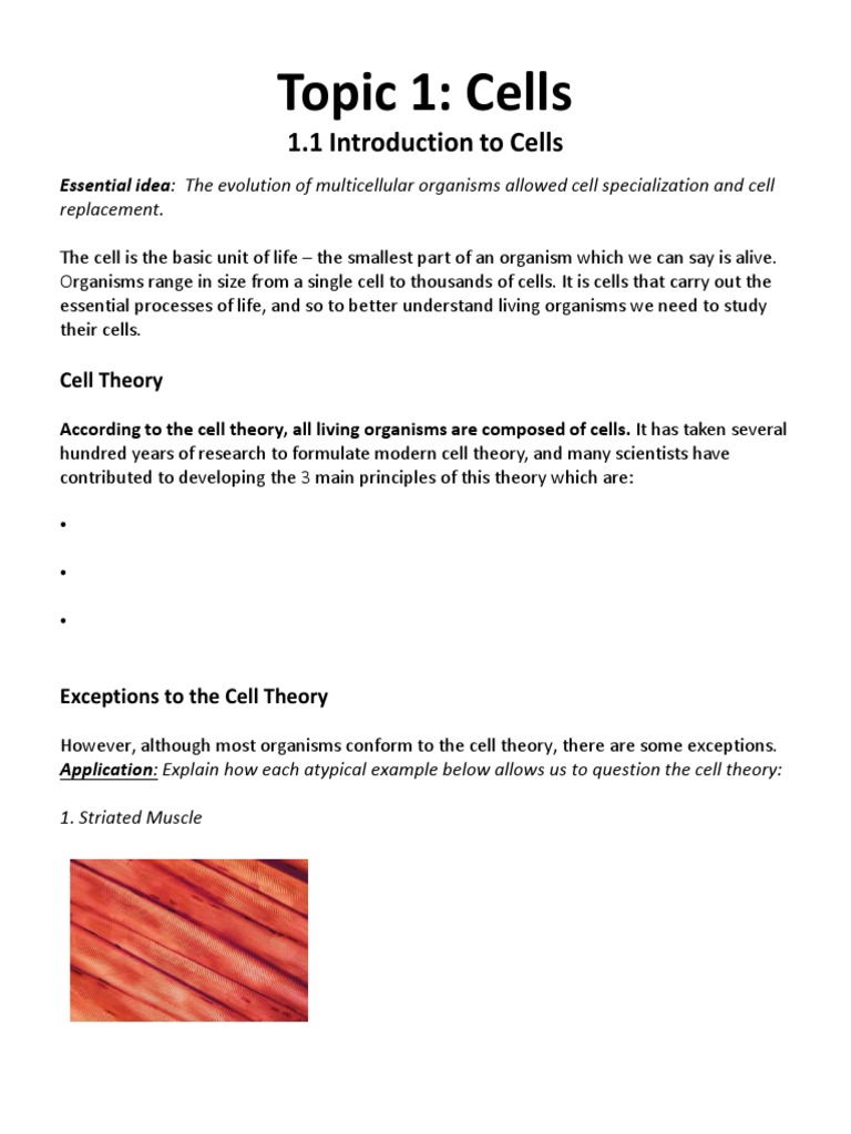 1 1 introduction to cells - students notes | Stem Cell | Micrograph