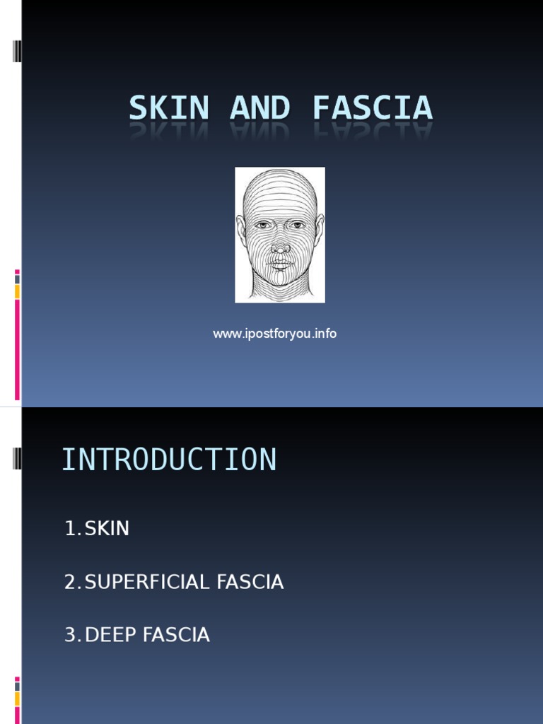 Skin & Fascia | PDF | Skin | Epidermis