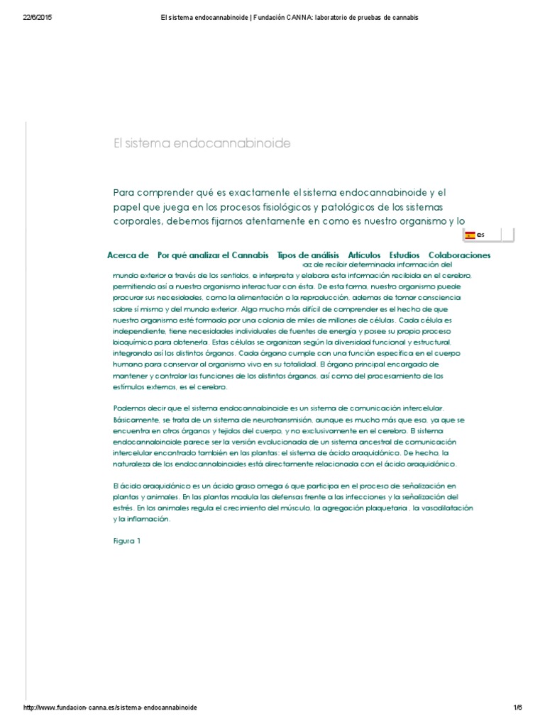 El Sistema Endocannabinoide Fundación Canna Laboratorio De Pruebas