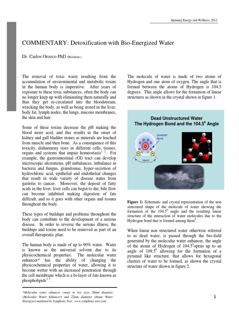 Bio-Energized Water for Detoxification | PDF | Properties Of Water ...
