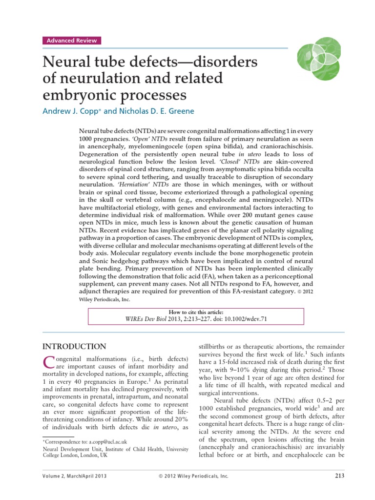 Neural Tube Defects | PDF | Apoptosis | Cell Cycle