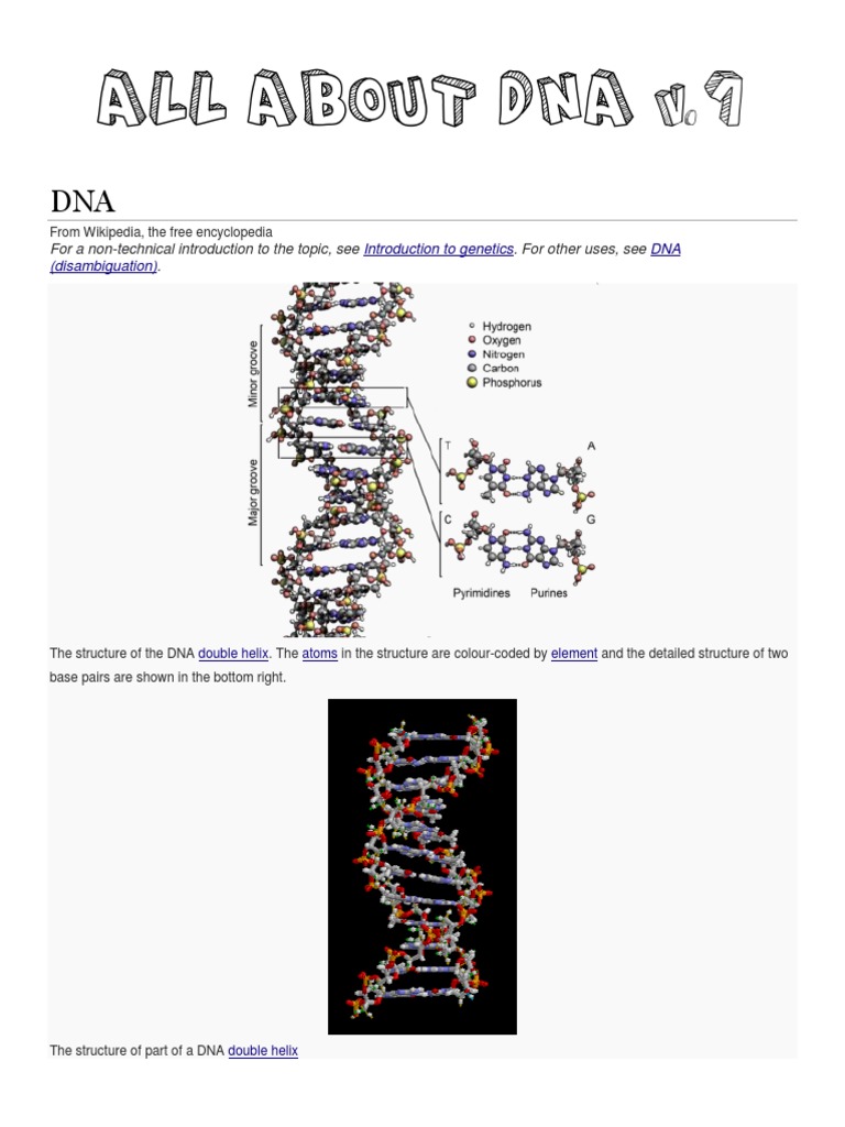 All About Dna | PDF | Dna | Gene