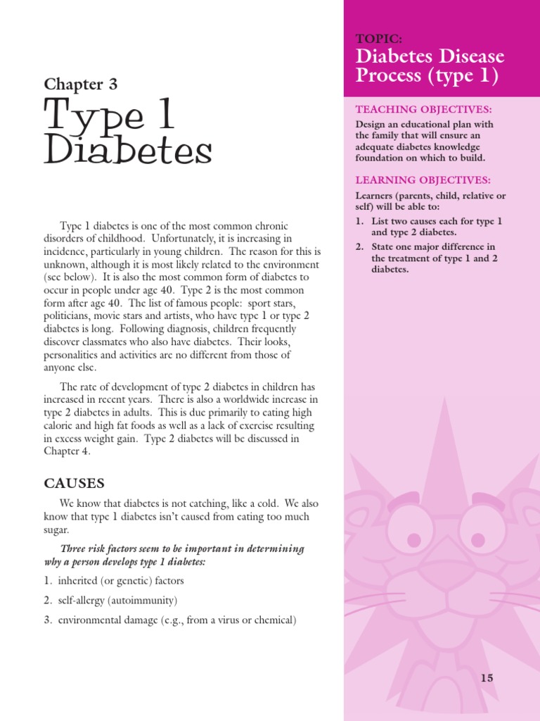 Pink Panther - Diabetes Management - Chapter 3 | Diabetes Mellitus Type ...