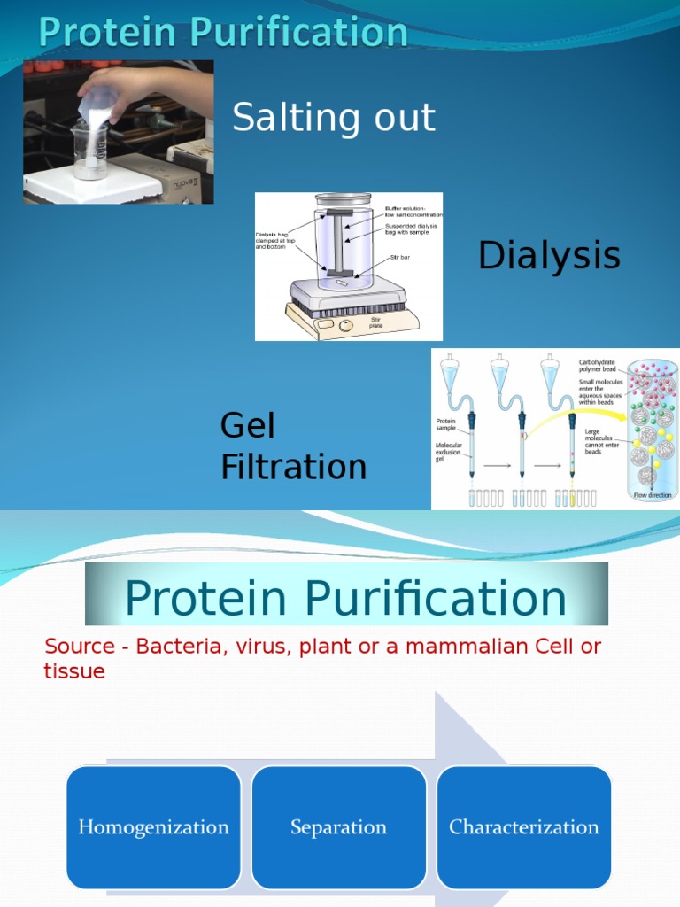 Protein Purification Techniques Overview | PDF | Protein Purification ...