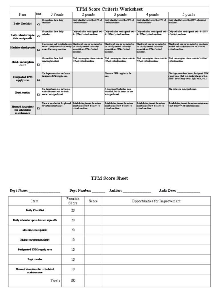 TPM Score Criteria Worksheet | PDF | Business