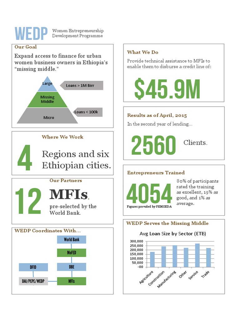 WEDP Overview Infographic April, 2015 | PDF | Microfinance | Service ...
