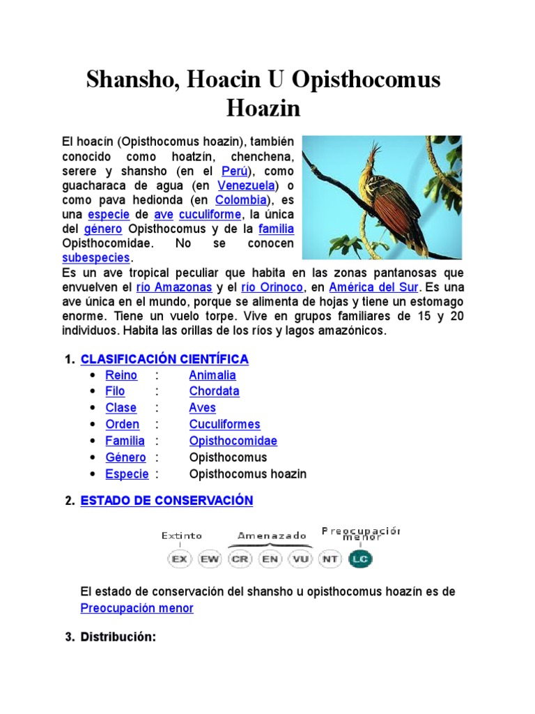 Hoacín: Características y Hábitat | PDF | Paravianos | Tetrápodos