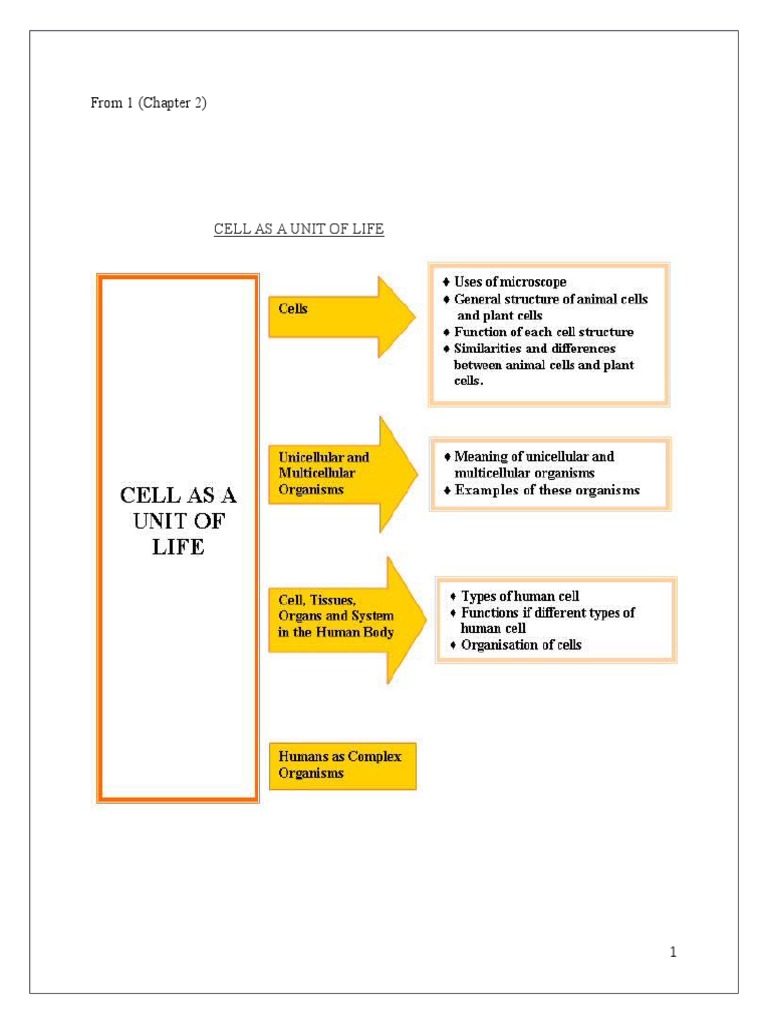 Science Form 1-Chapter 2 | Organisms | Human Body