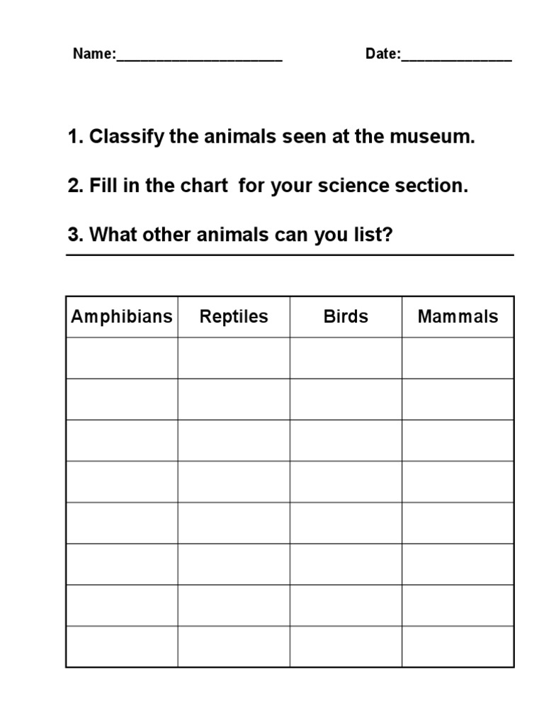 Museum Animals Classification Chart | PDF | Social Science