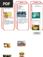 Triptico de Pasco | PDF | Alimentos | Naturaleza