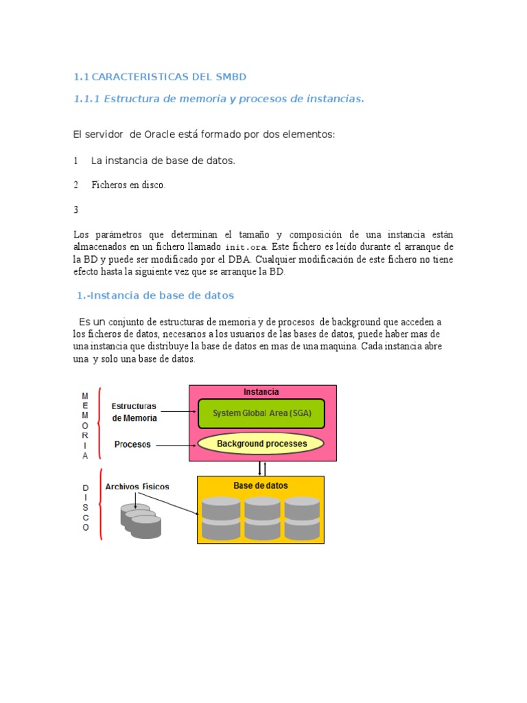 Caracteristicas Del SMBD | PDF | Bases de datos | Almacenador intermediario de datos