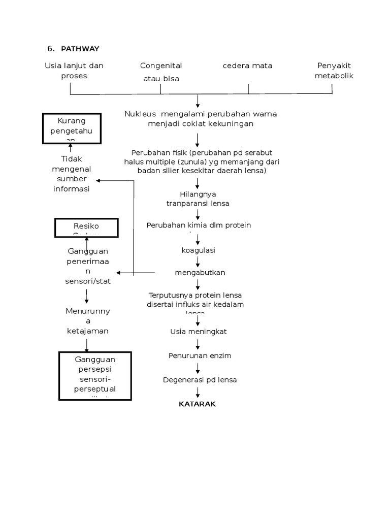 Pathway Katarak | PDF