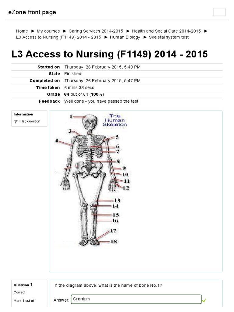 Skeletal System Test PDF | PDF | Bone | Tissue (Biology)