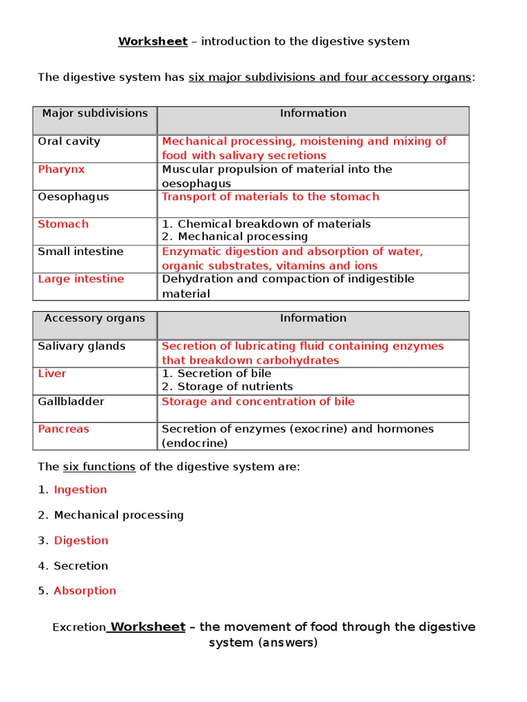 Worksheet - Introduction To The Digestive System (Answers) | PDF ...