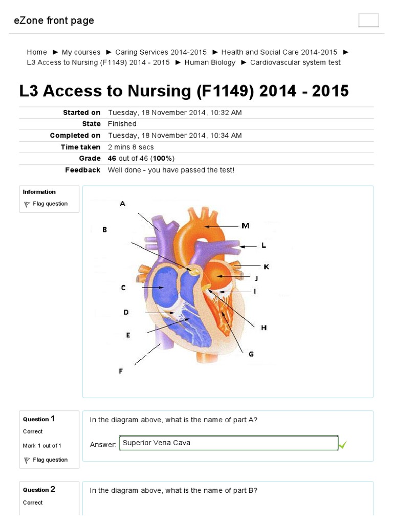 Cardiovascular System Test Results | PDF | Atrium (Heart) | Artery