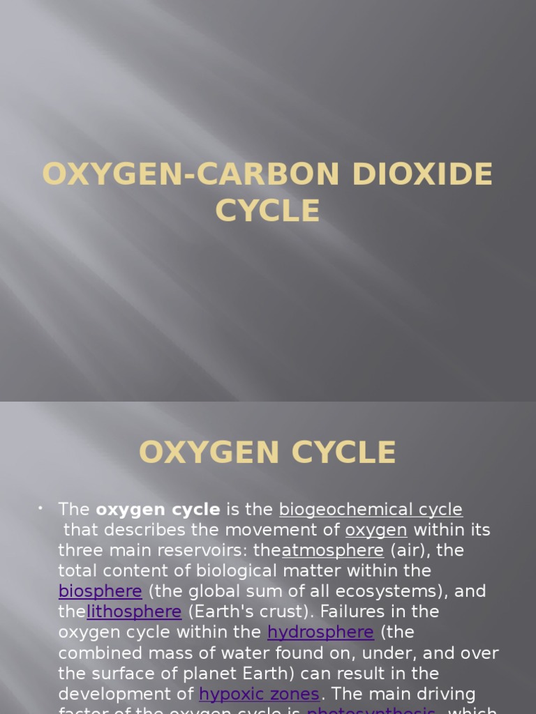 Oxygen-Carbon Dioxide Cycle | Download Free PDF | Carbon Cycle ...